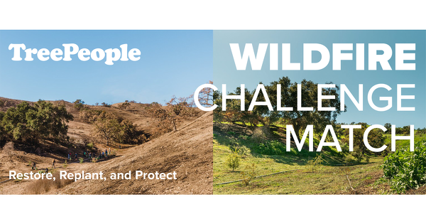 Wildfire Challenge Match